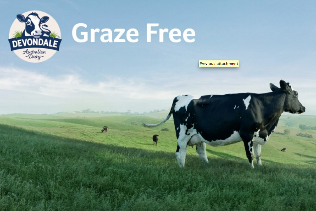 Devondale Unveils New "Graze Free" Positioning Via Saatchi & Saatchi ...